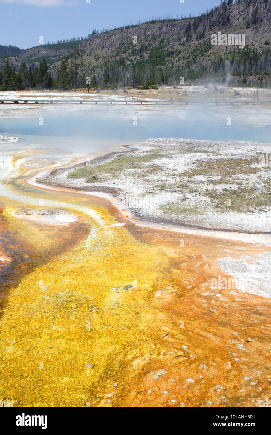 Grand Prismatic Spring, Midway Geyser Basin, Yellowstone National Park ...