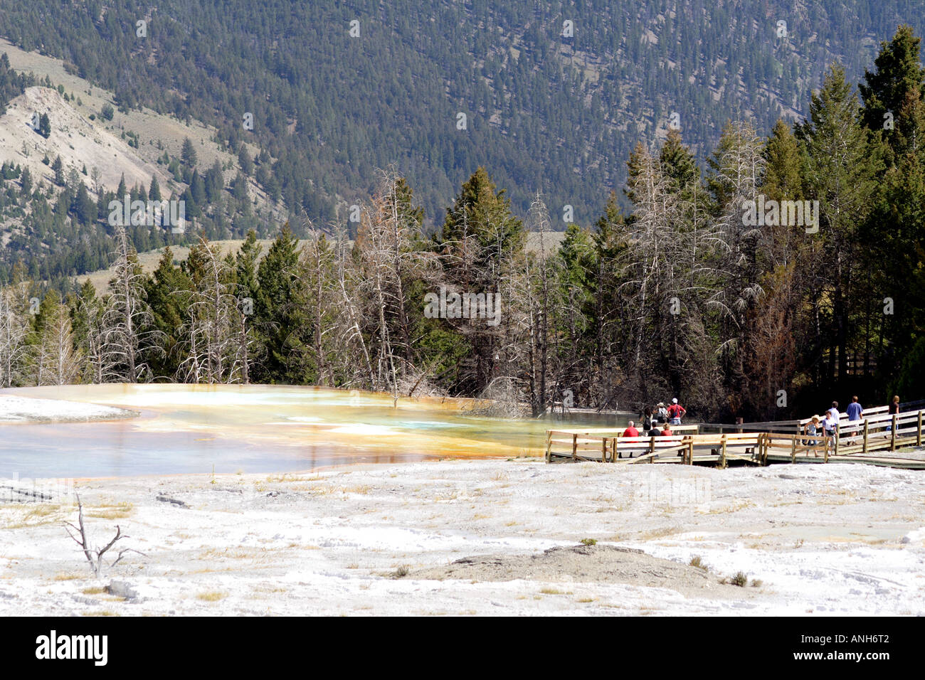 Mammouth yellowstone hi-res stock photography and images - Alamy