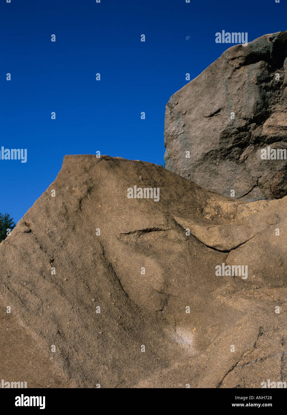 A section of a Large Boulder vertical Stock Photo - Alamy