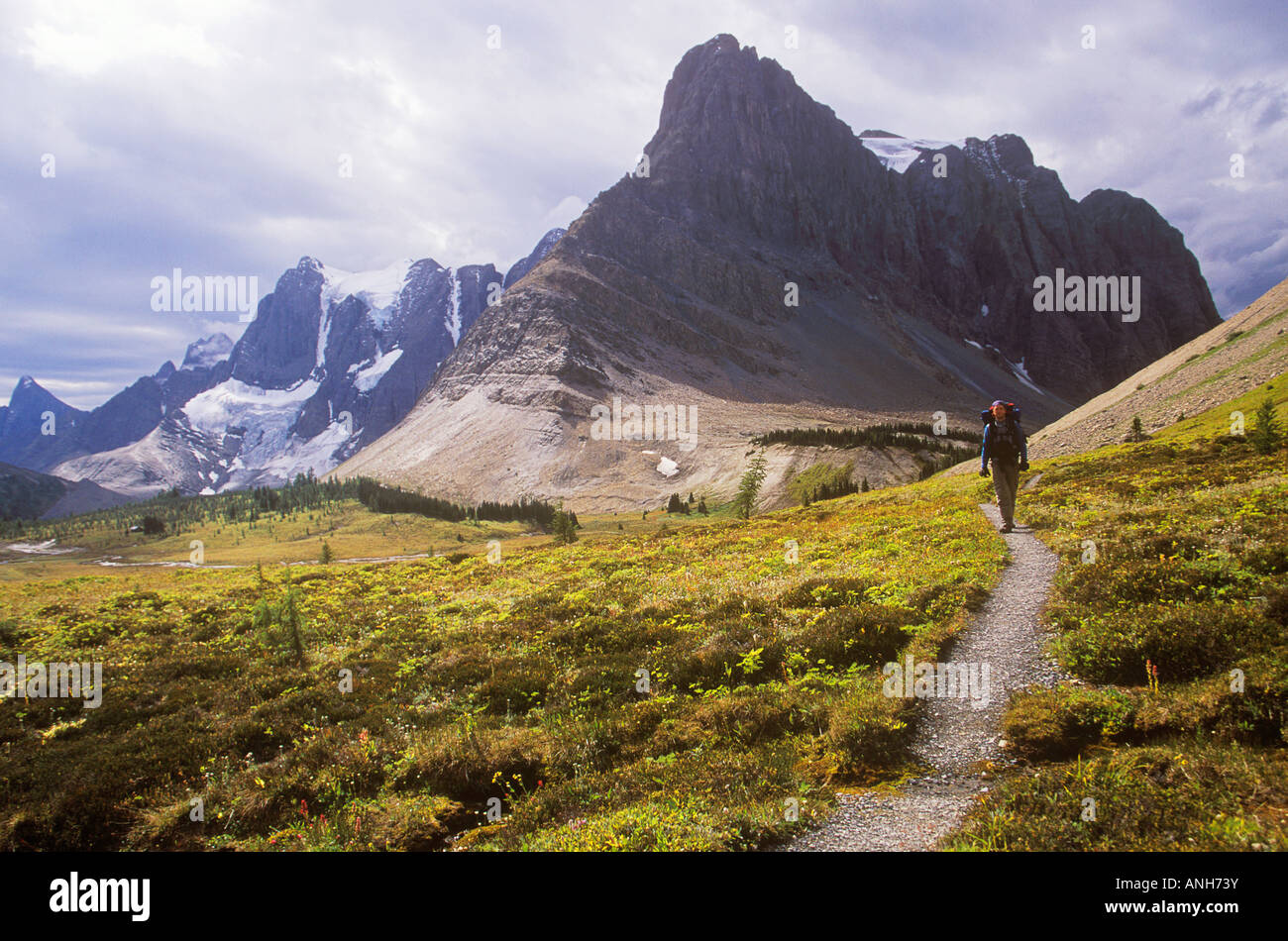 Hiking the Rockwall pass trail over Rockwall pass. Washmawapta glacier ...