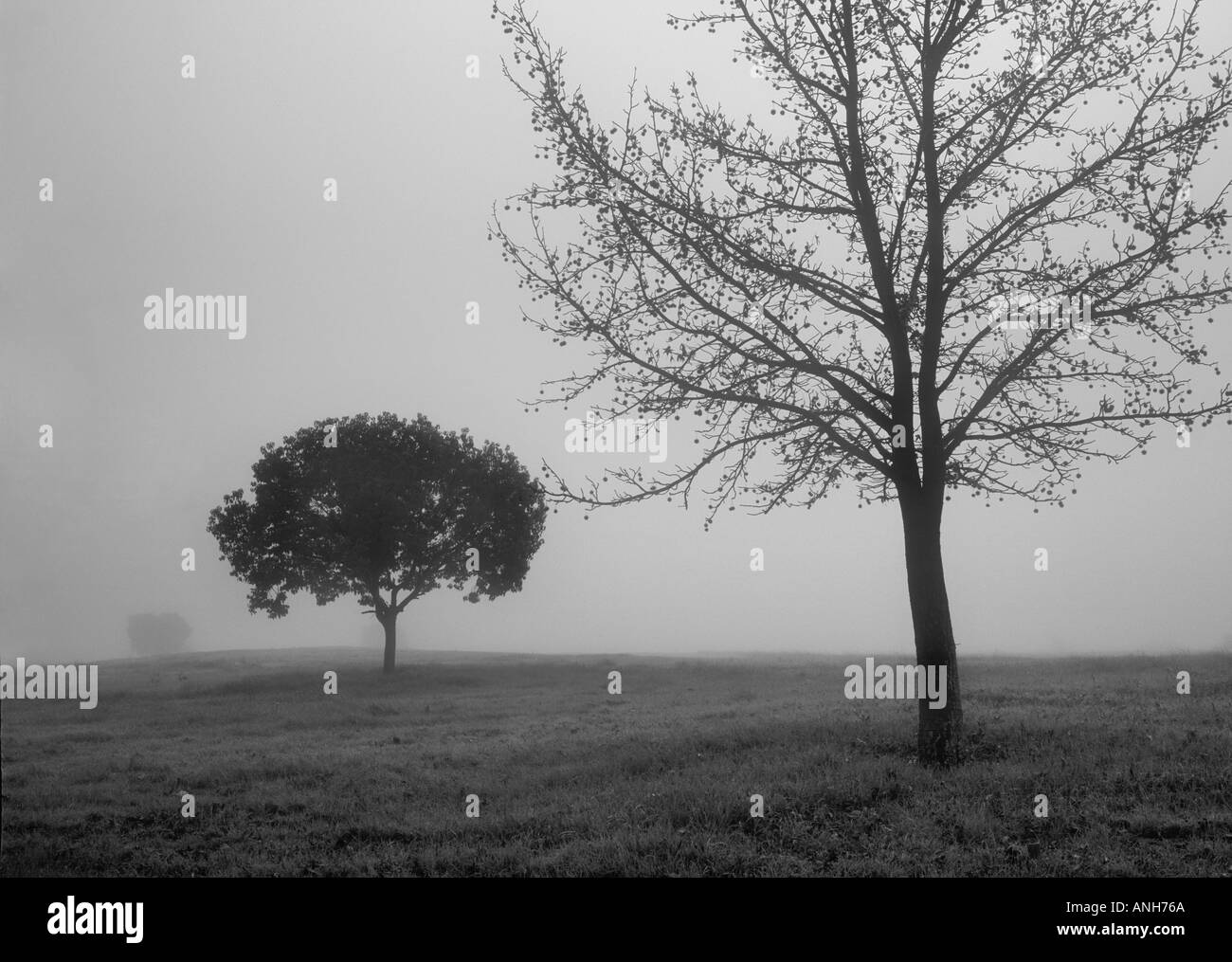 Tule Fog High Resolution Stock Photography and Images - Alamy