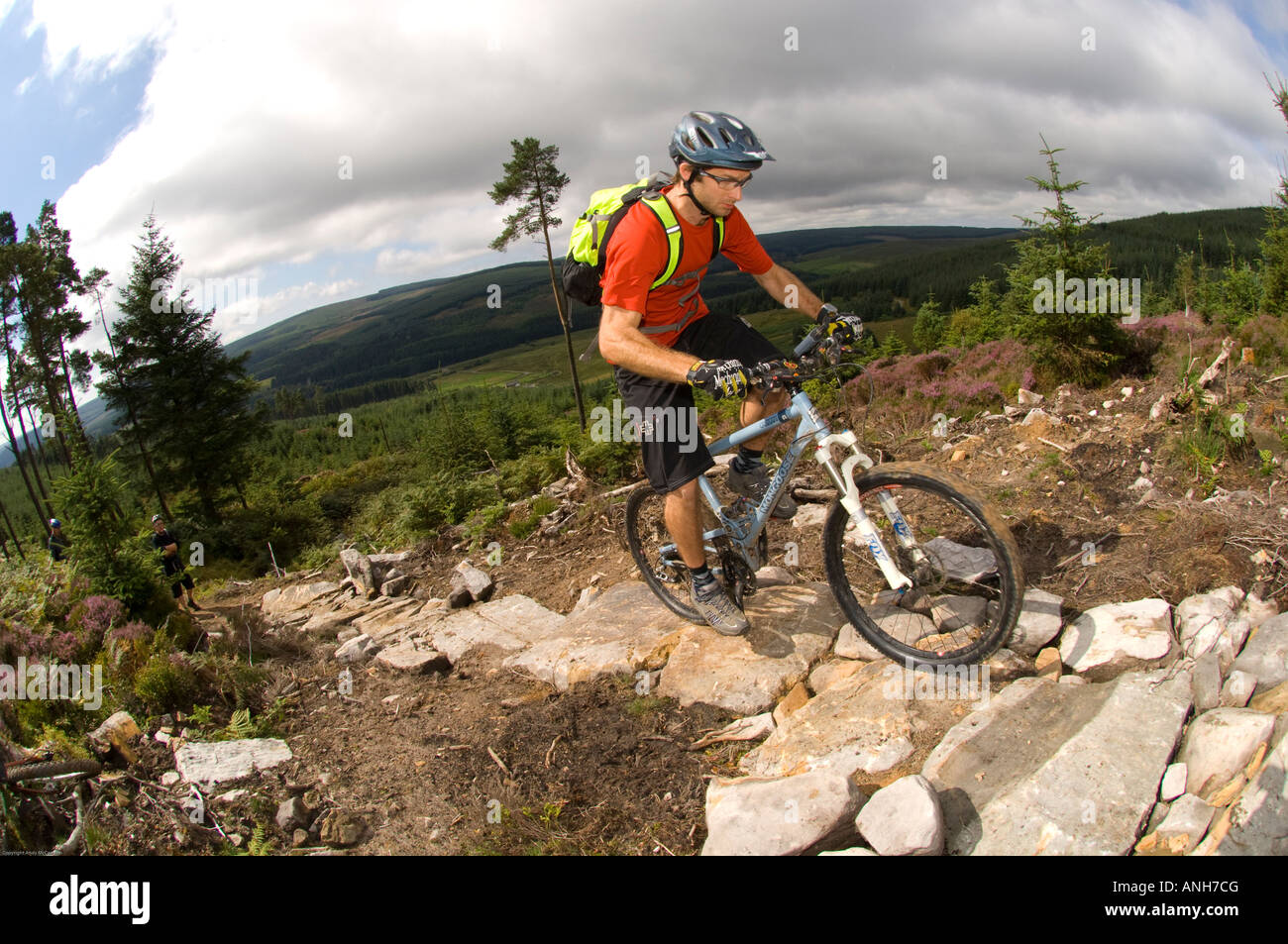 Riders mountain bike the man made trails in Kielder Forest near the ...