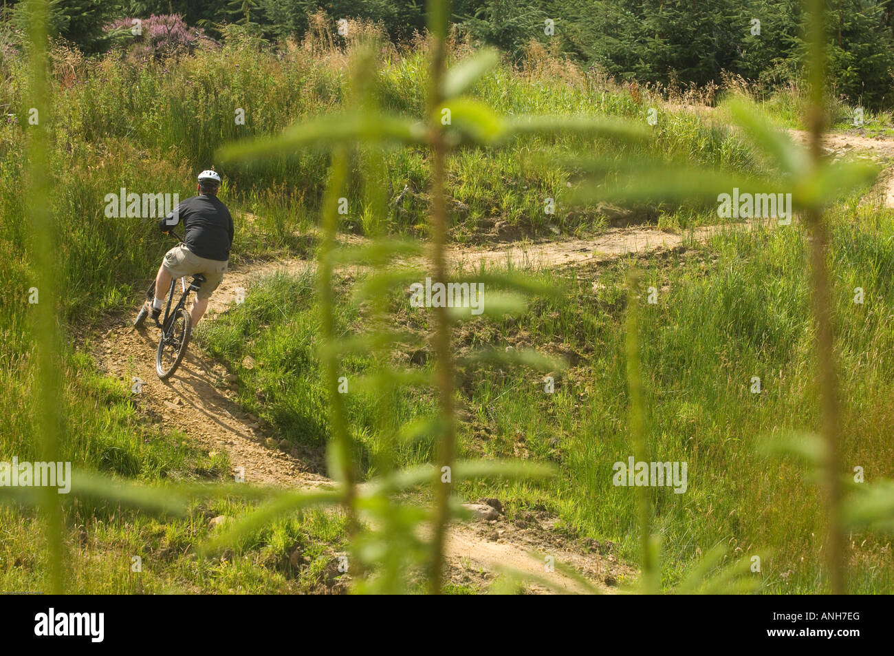 Riders mountain bike the man made trails in Kielder Forest near the ...