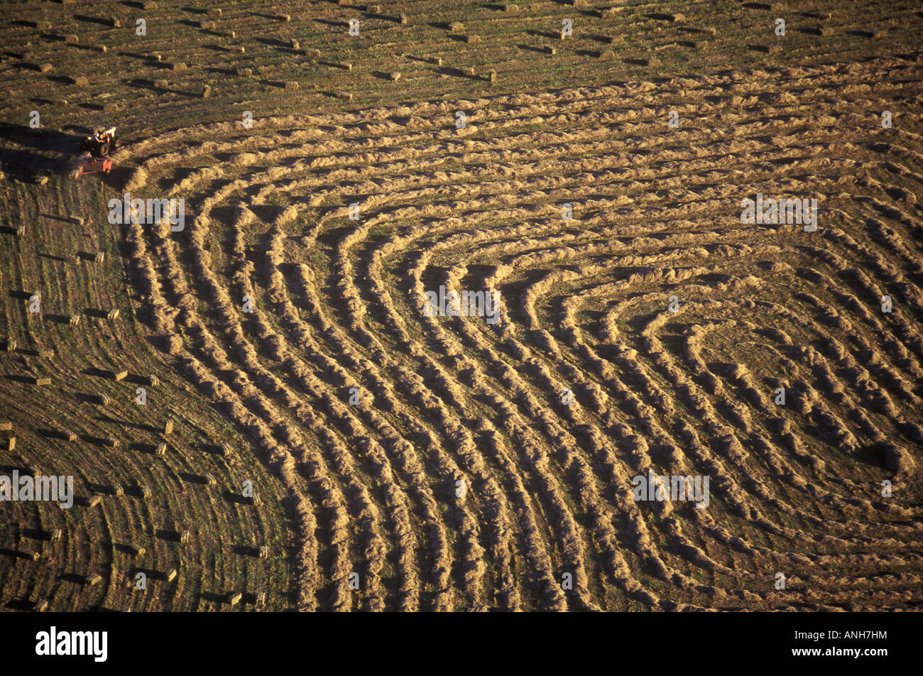Aerial of farming on Hornby Island, British Columbia, Canada Stock ...