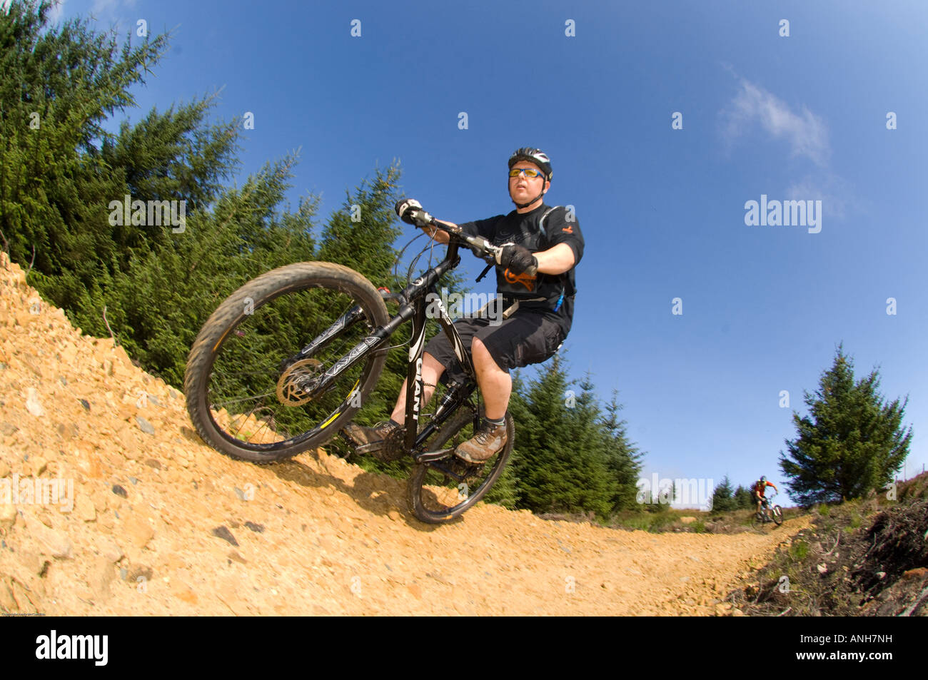 Riders mountain bike the man made trails in Kielder Forest near the ...