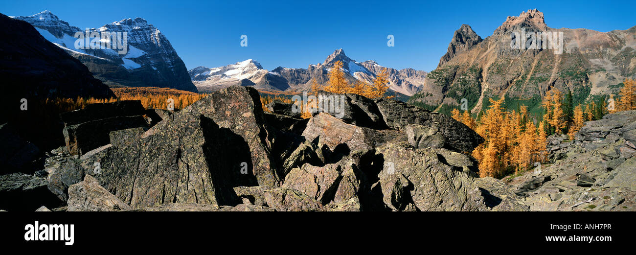 Opabin prospect trail hi-res stock photography and images - Alamy