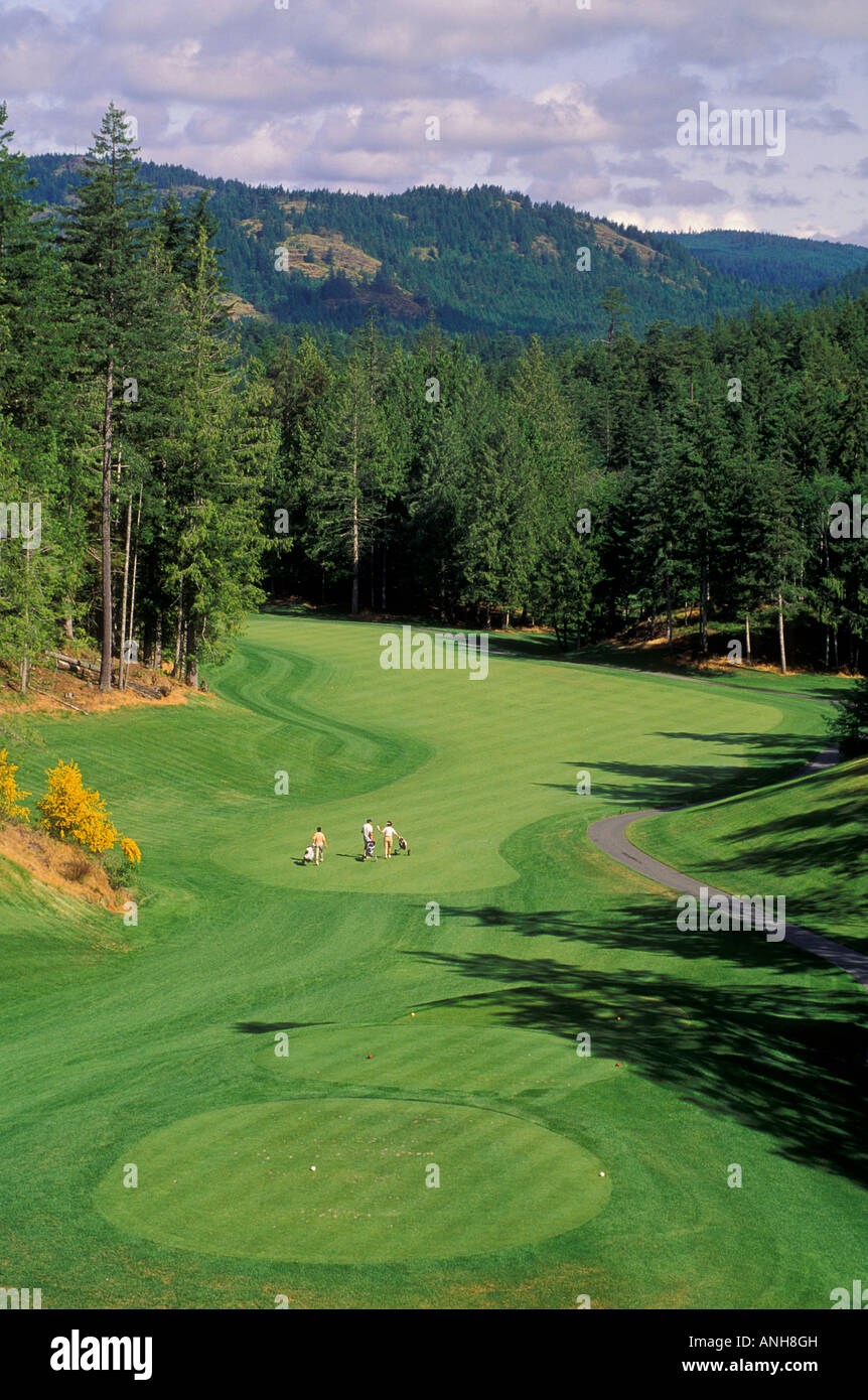 Golfers at Olympic View Golf course, British Columbia, Canada Stock ...