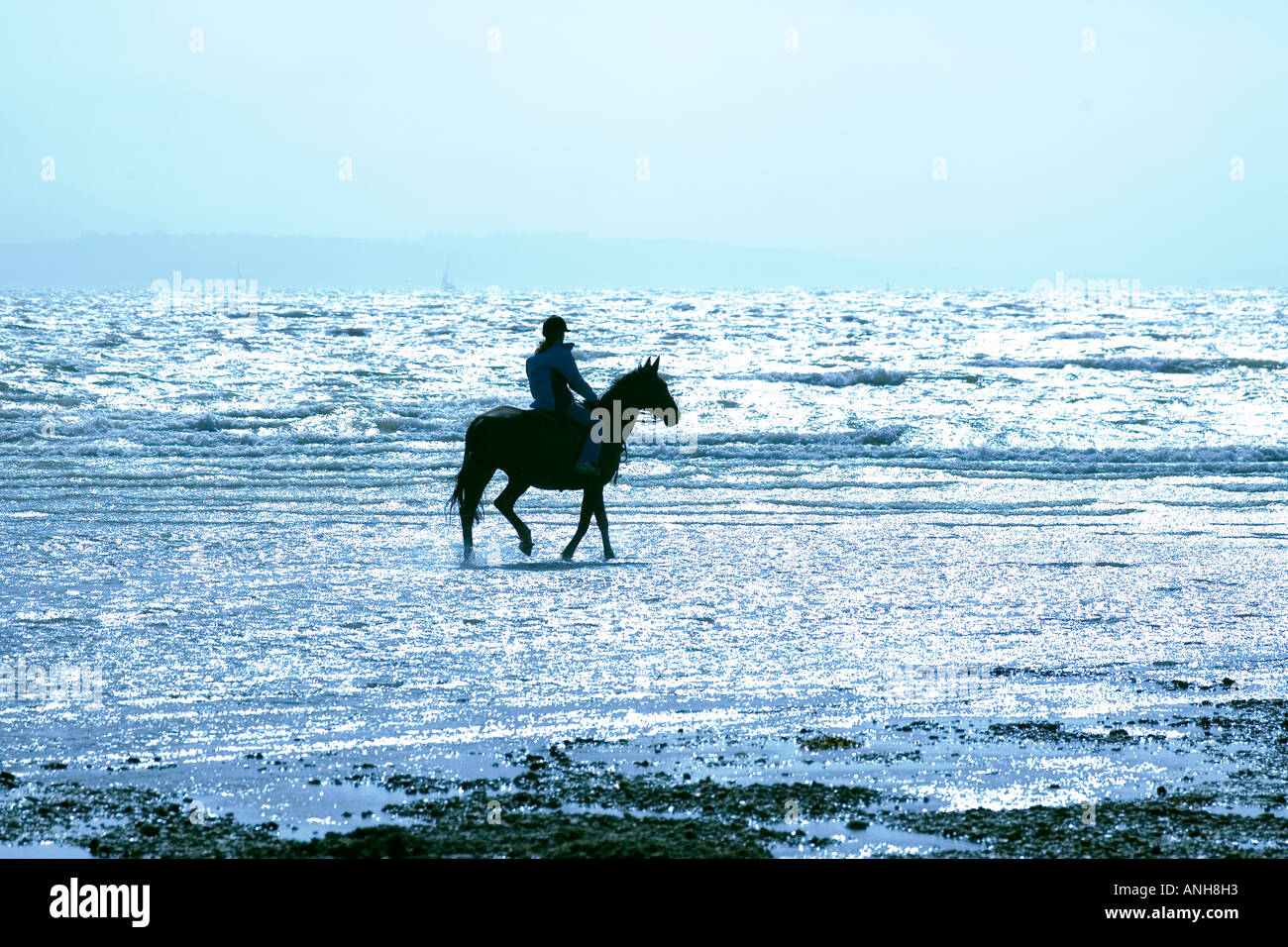 Horse riding in the sea at Lepe by the Solent Stock Photo - Alamy