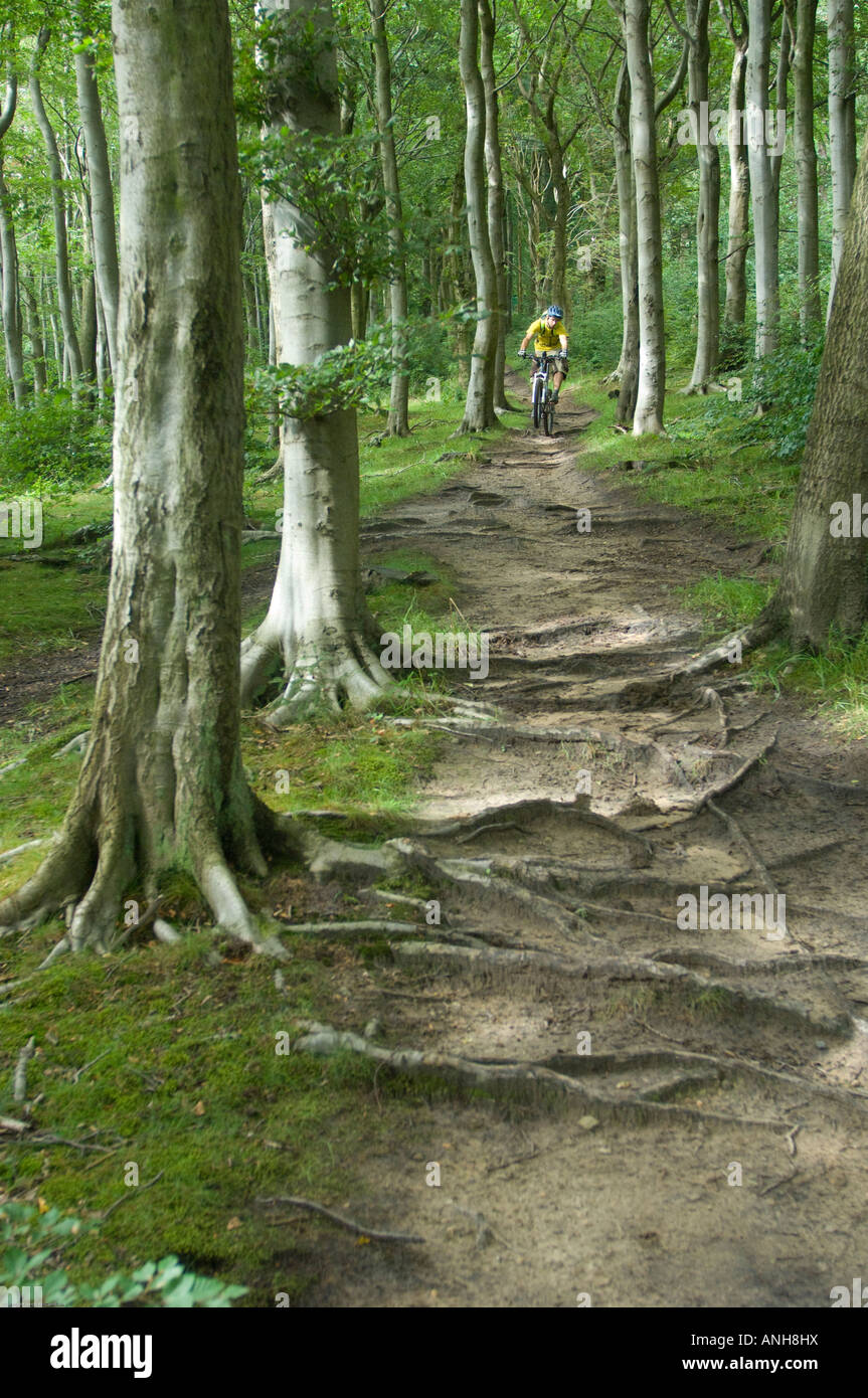 Chopwell hi-res stock photography and images - Alamy