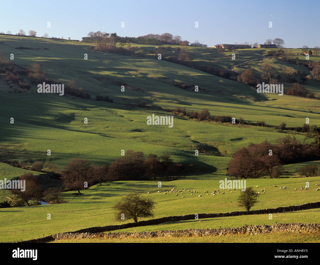 Upper Dove Valley hill farming in White Peak of Peak District "National ...