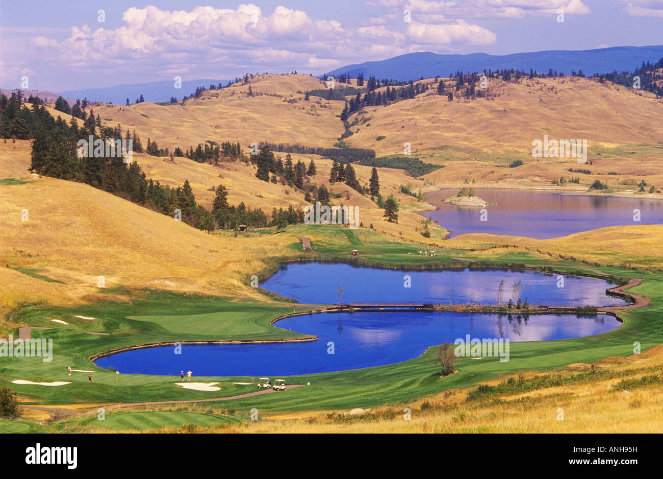 Predator Ridge Golf course, Kelowna, British Columbia, Canada Stock ...