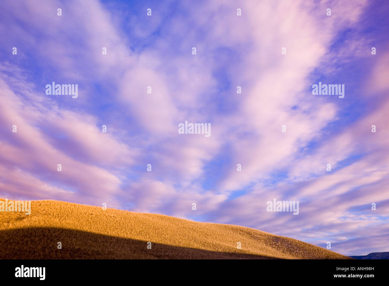 Chilcotin Grasslands Churn Creek Protected Area, British Columbia ...