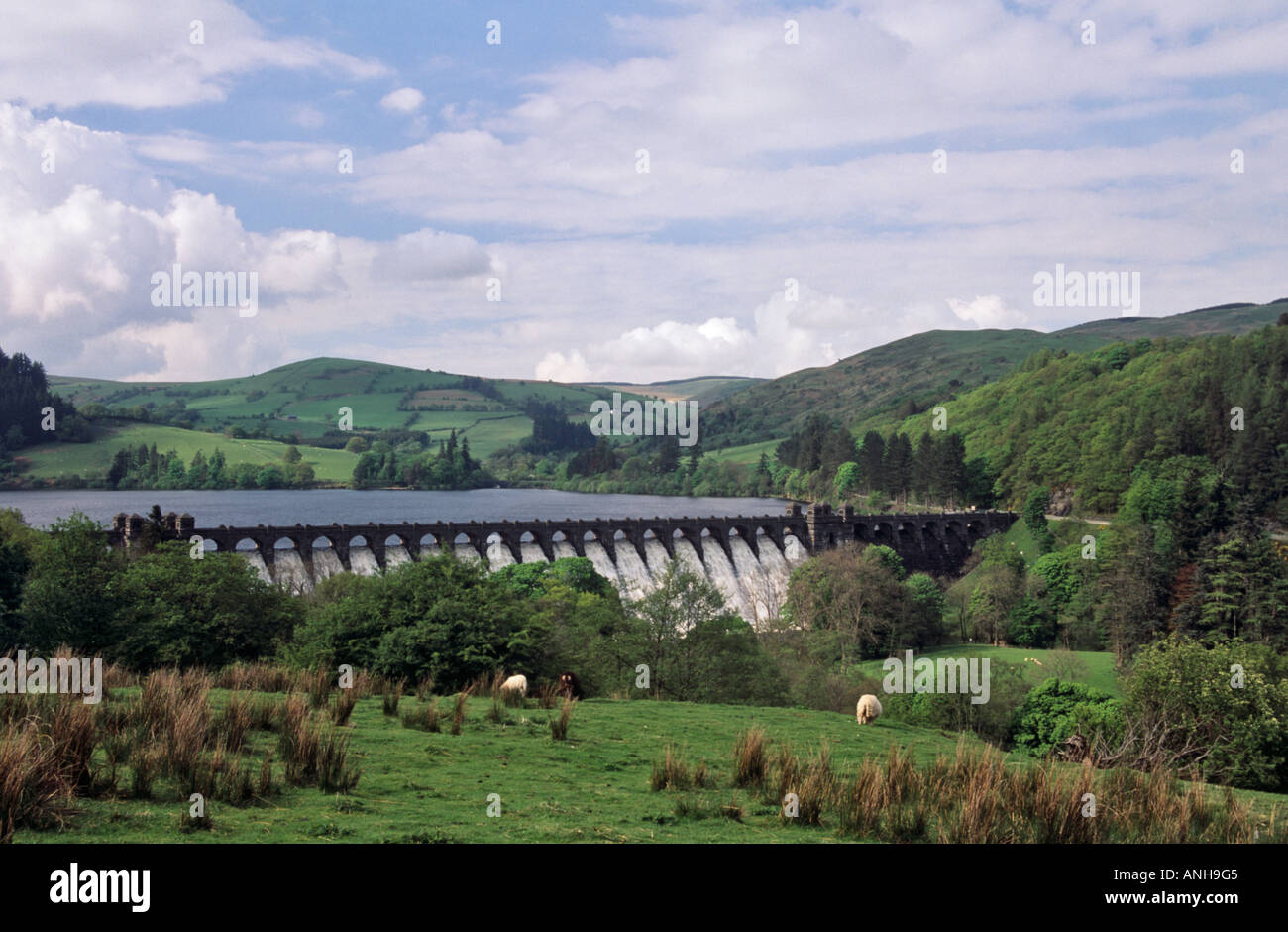 Countryside around Lake Vyrnwy Llyn Efyrnwy and Dam with water spilling ...