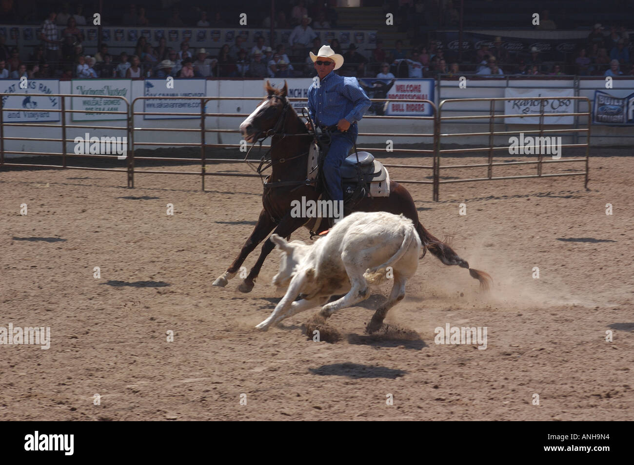 Macho cowboy hi-res stock photography and images - Alamy