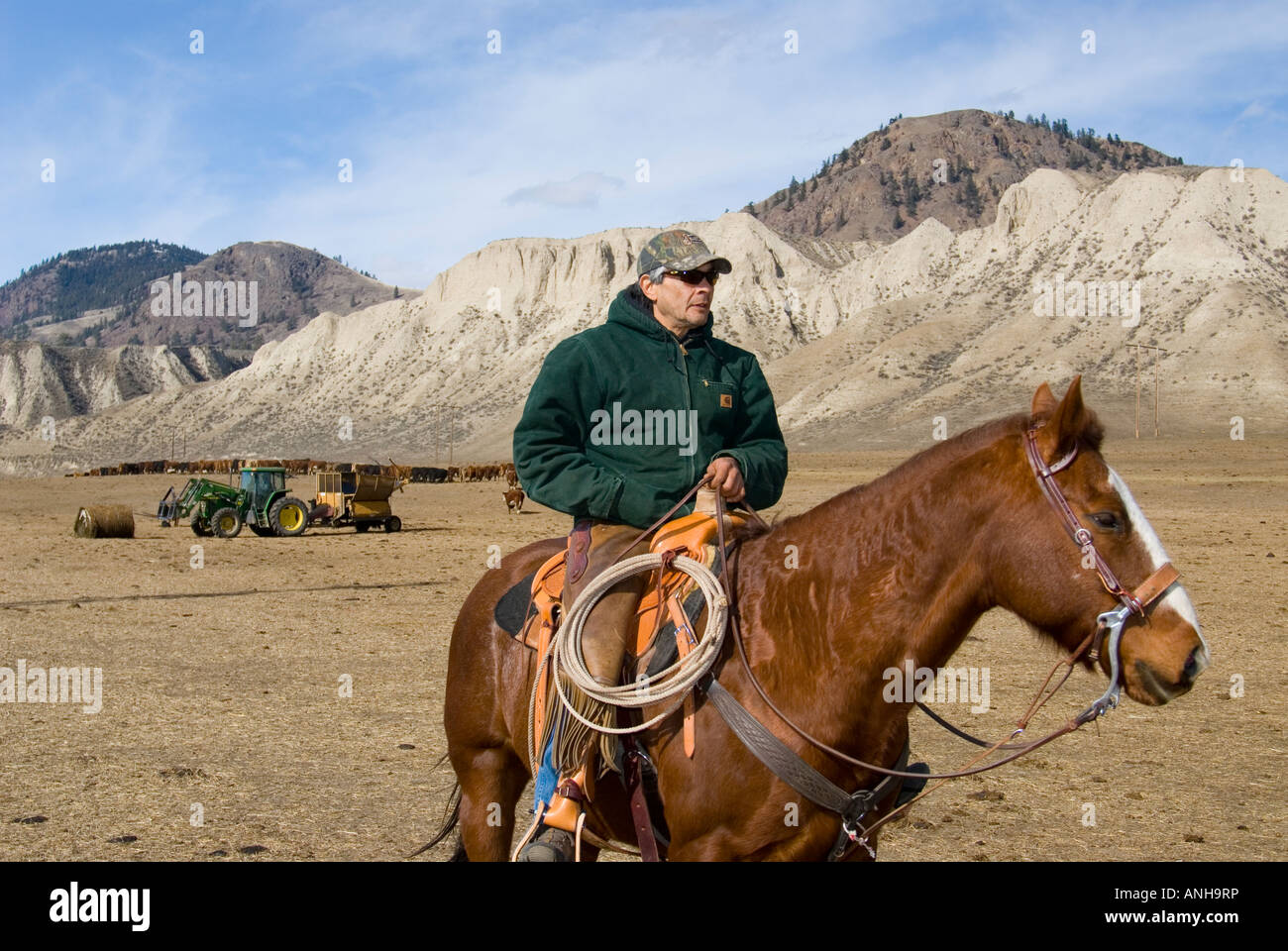 One Cowboys On Horseback High Resolution Stock Photography and Images ...