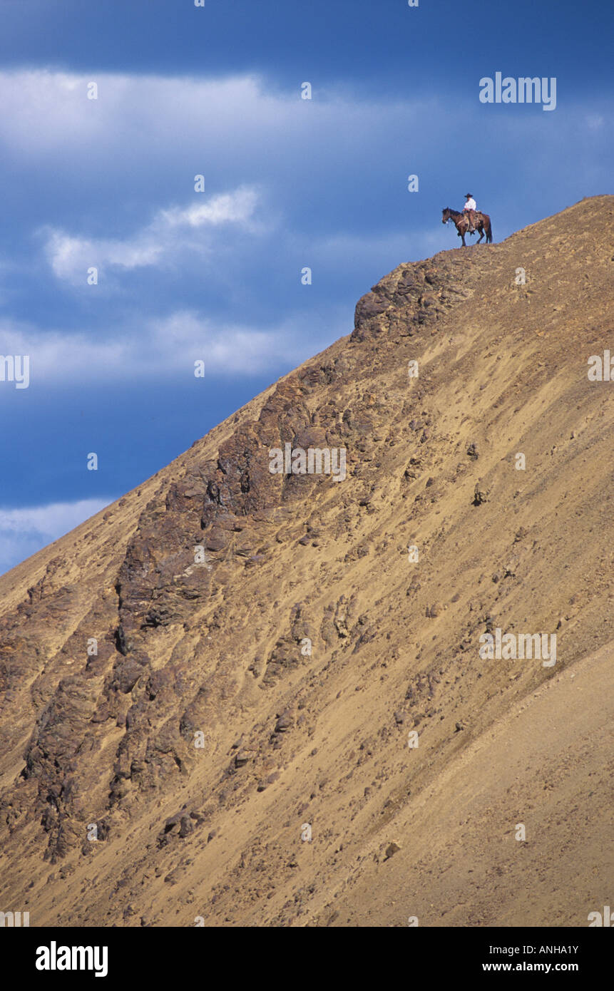 Horses and riders in the South Chilcotin Mountains, near Gold Bridge ...