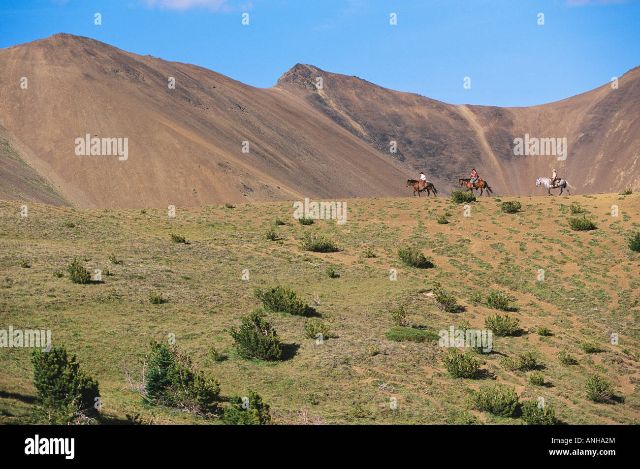 Photos of horses and riders hi-res stock photography and images - Alamy