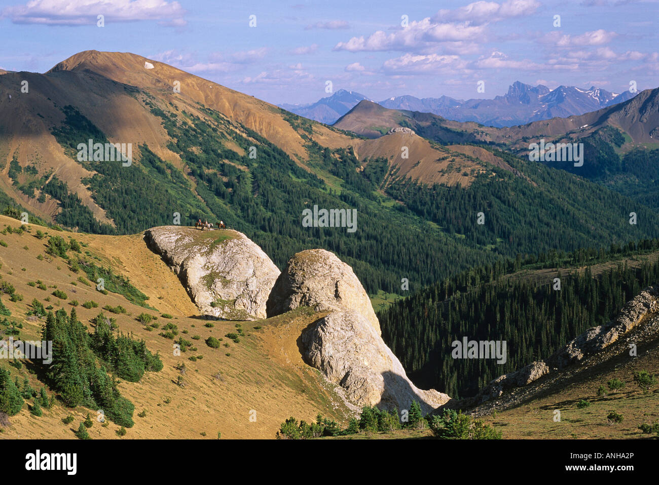 Horses and riders in the South Chilcotin Mountains, near Gold Bridge ...