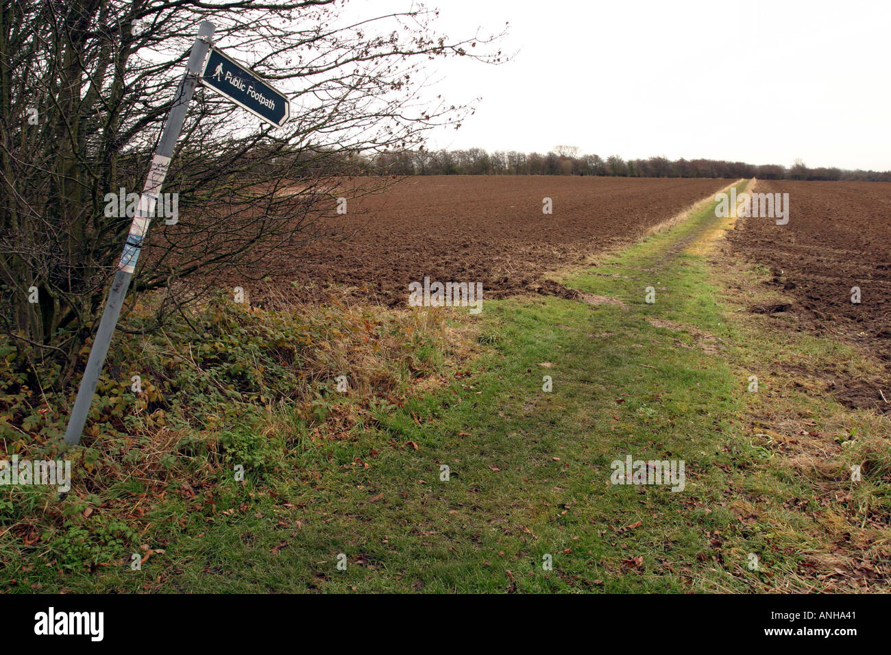 Track and field pictures hi-res stock photography and images - Alamy