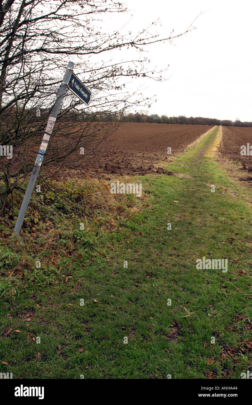 Track and field pictures hi-res stock photography and images - Alamy