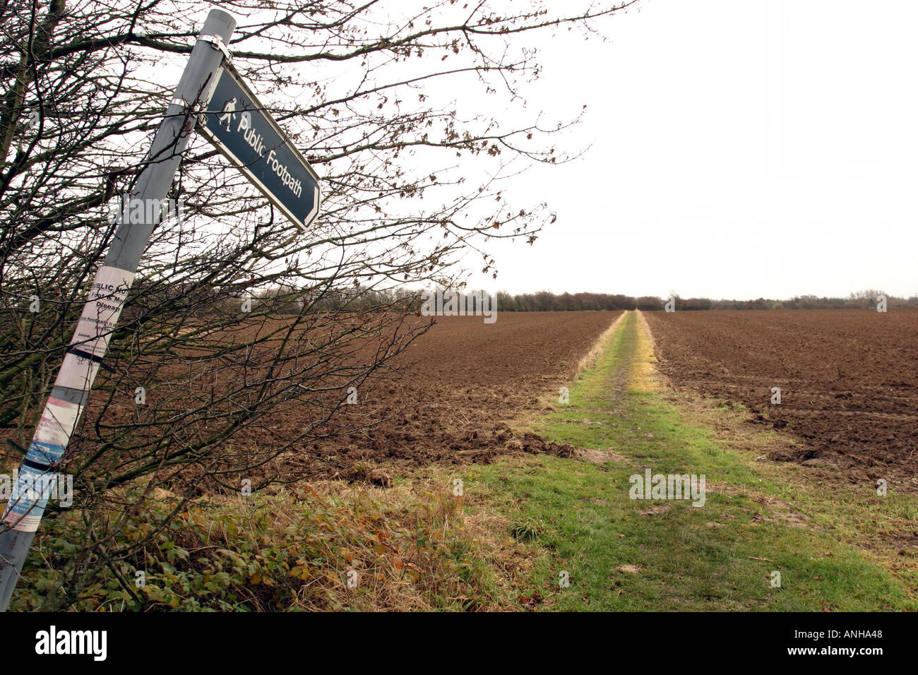 Track and field pictures hi-res stock photography and images - Alamy