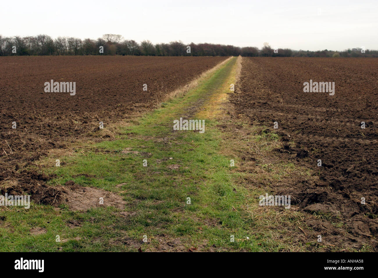 Track and field pictures hi-res stock photography and images - Alamy