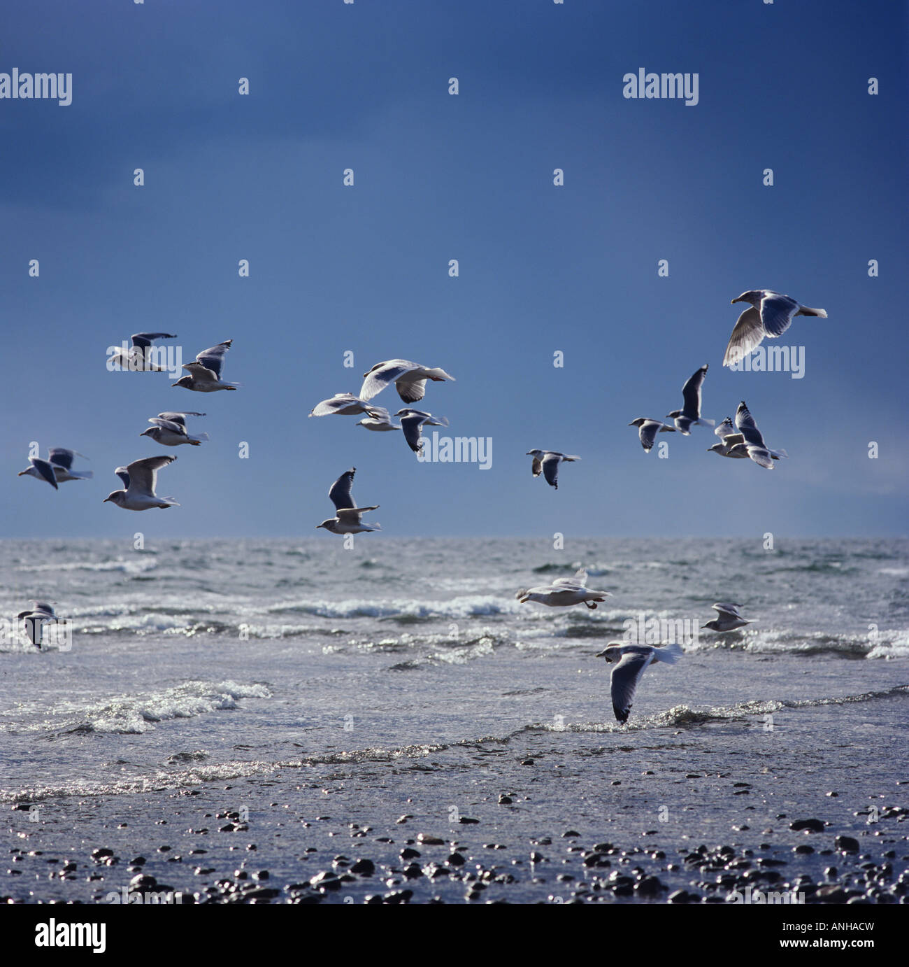 Flight sho hi-res stock photography and images - Alamy