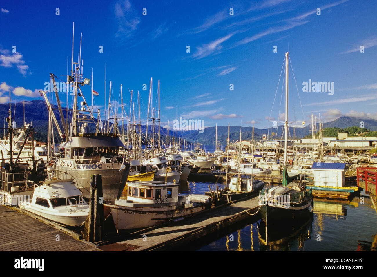 Marina at Prince Rupert, British Columbia, Canada Stock Photo - Alamy