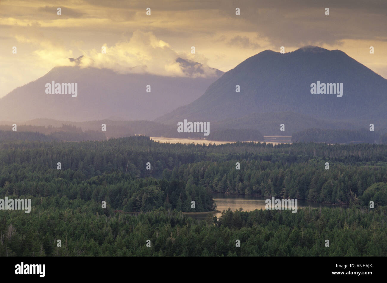 Sunset on Meares Island, British Columbia, Canada Stock Photo - Alamy