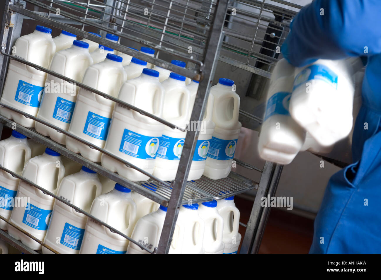Cartons of fresh milk are organised at a dairy farm in the Scottish ...