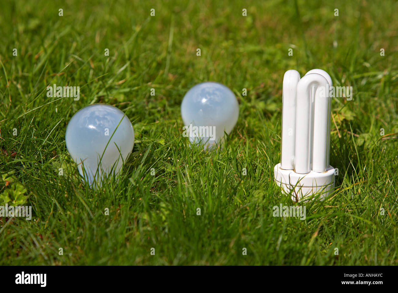 Long Life and Traditional Lightbulbs growing in the Grass Stock Photo ...