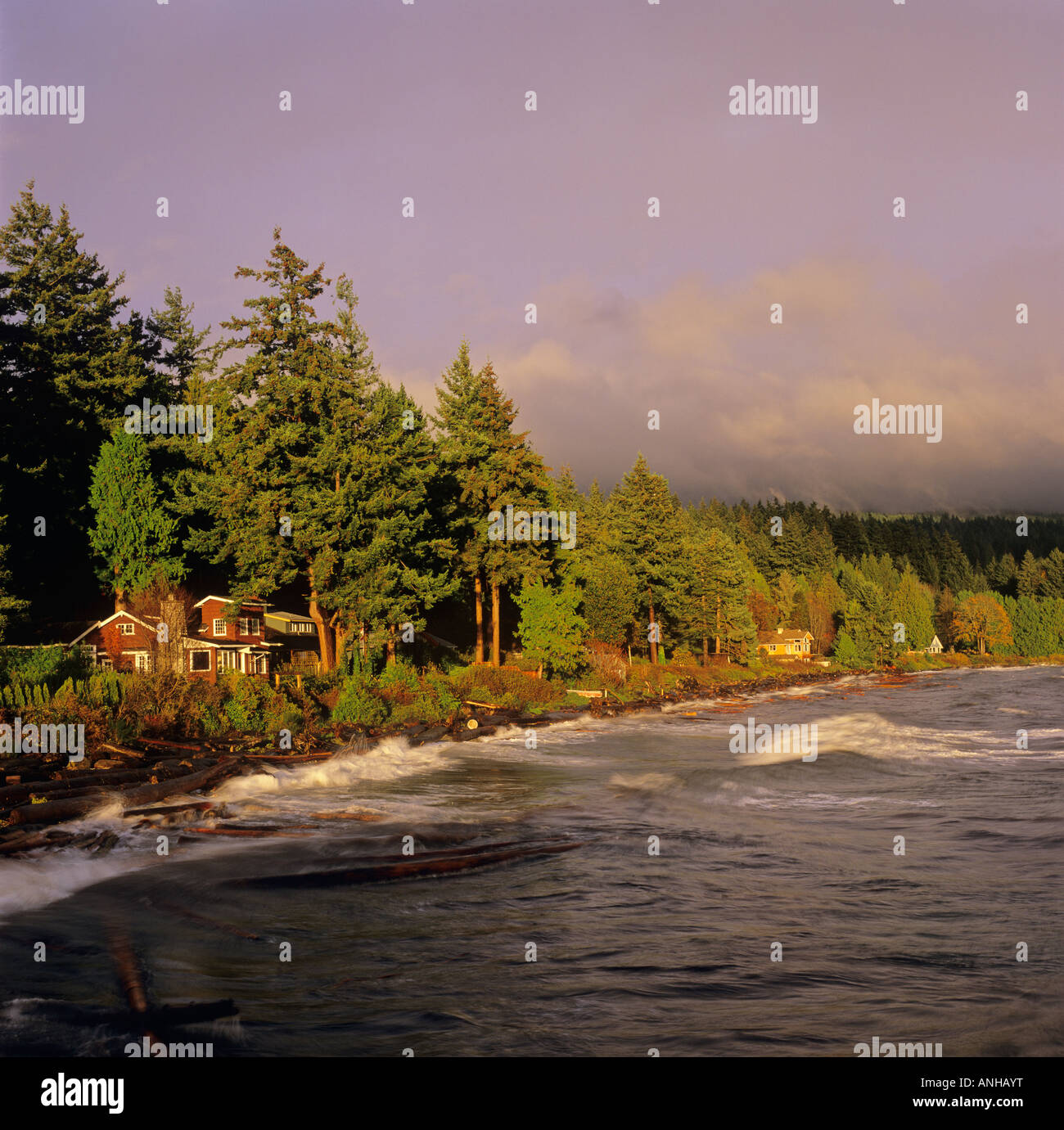 Cabins and storm, Roberts Creek, Sunshine Coast, british columbia ...