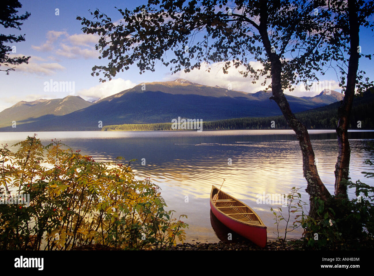 canoe on shore, Bowron Lake Provincial Park, British Columbia, Canada ...