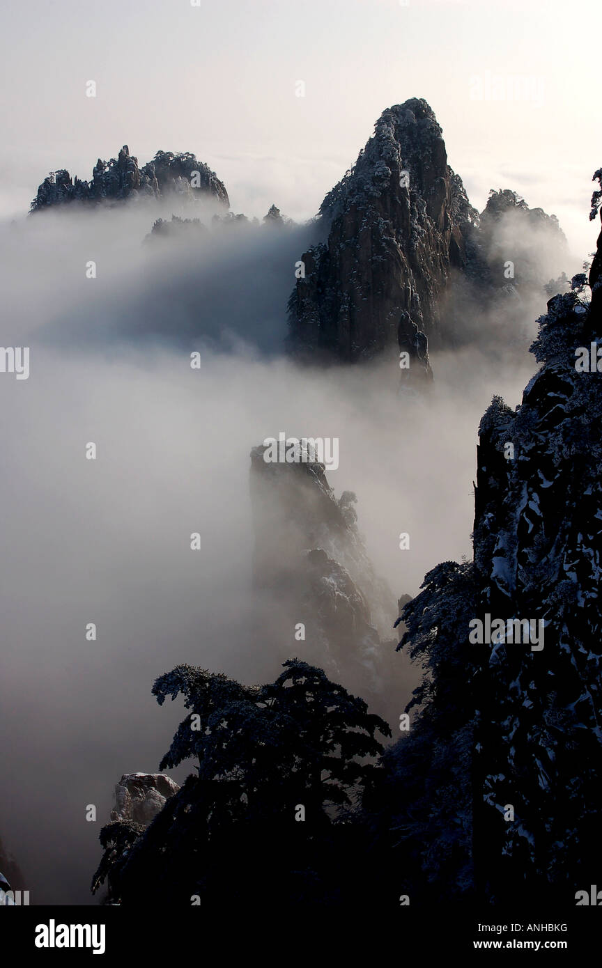 morning sun rise sea of clouds in Huang Shan Anhui China Stock Photo ...