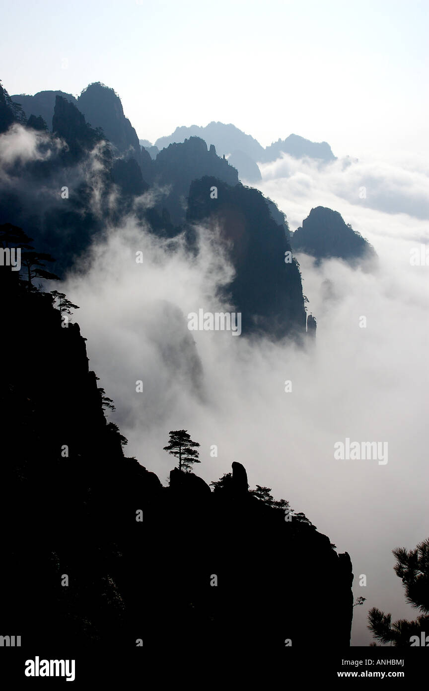 morning sun rise sea of clouds in Huang Shan Anhui ,China Stock Photo ...