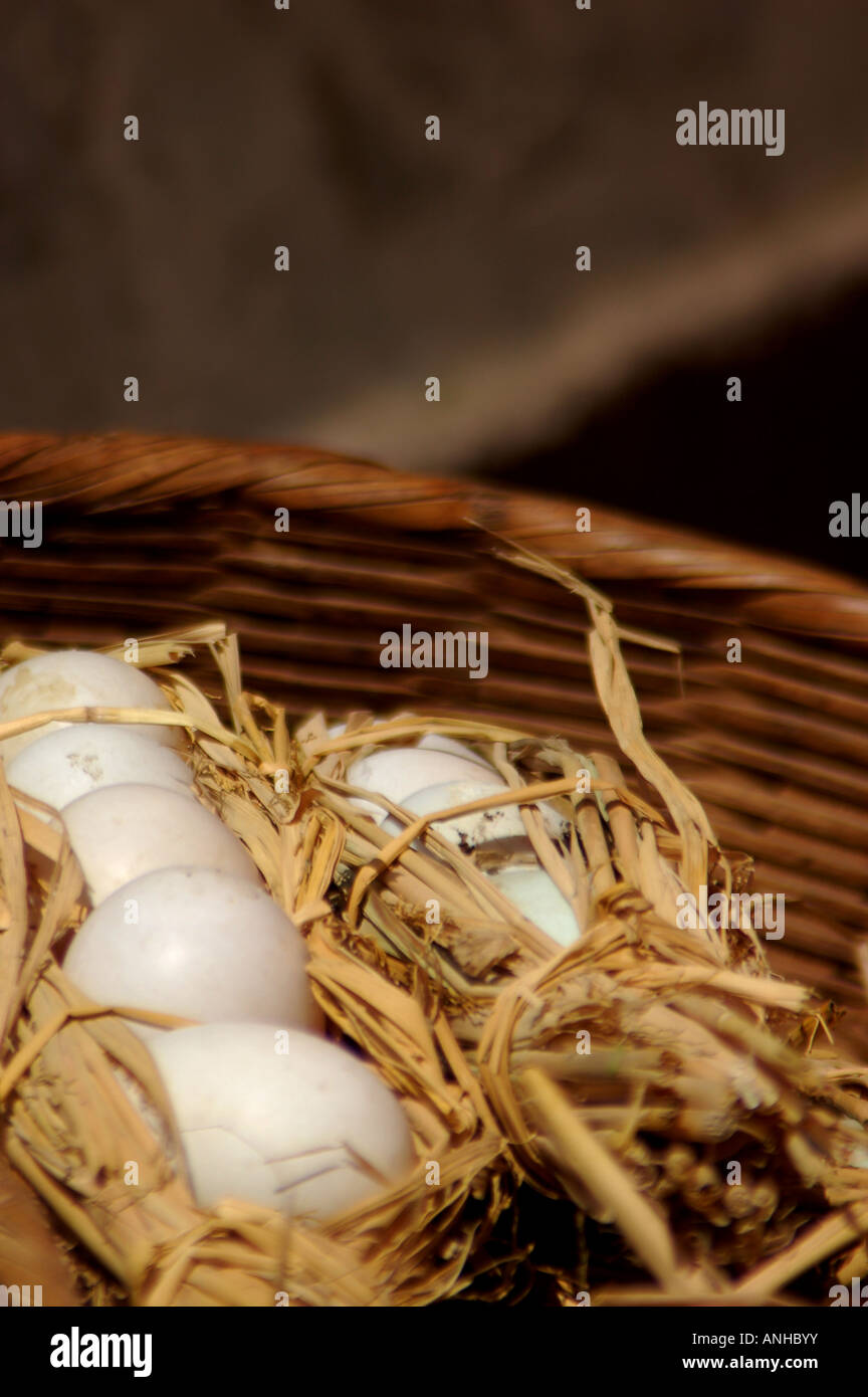 ues haulm or straw put eggs inside Stock Photo - Alamy