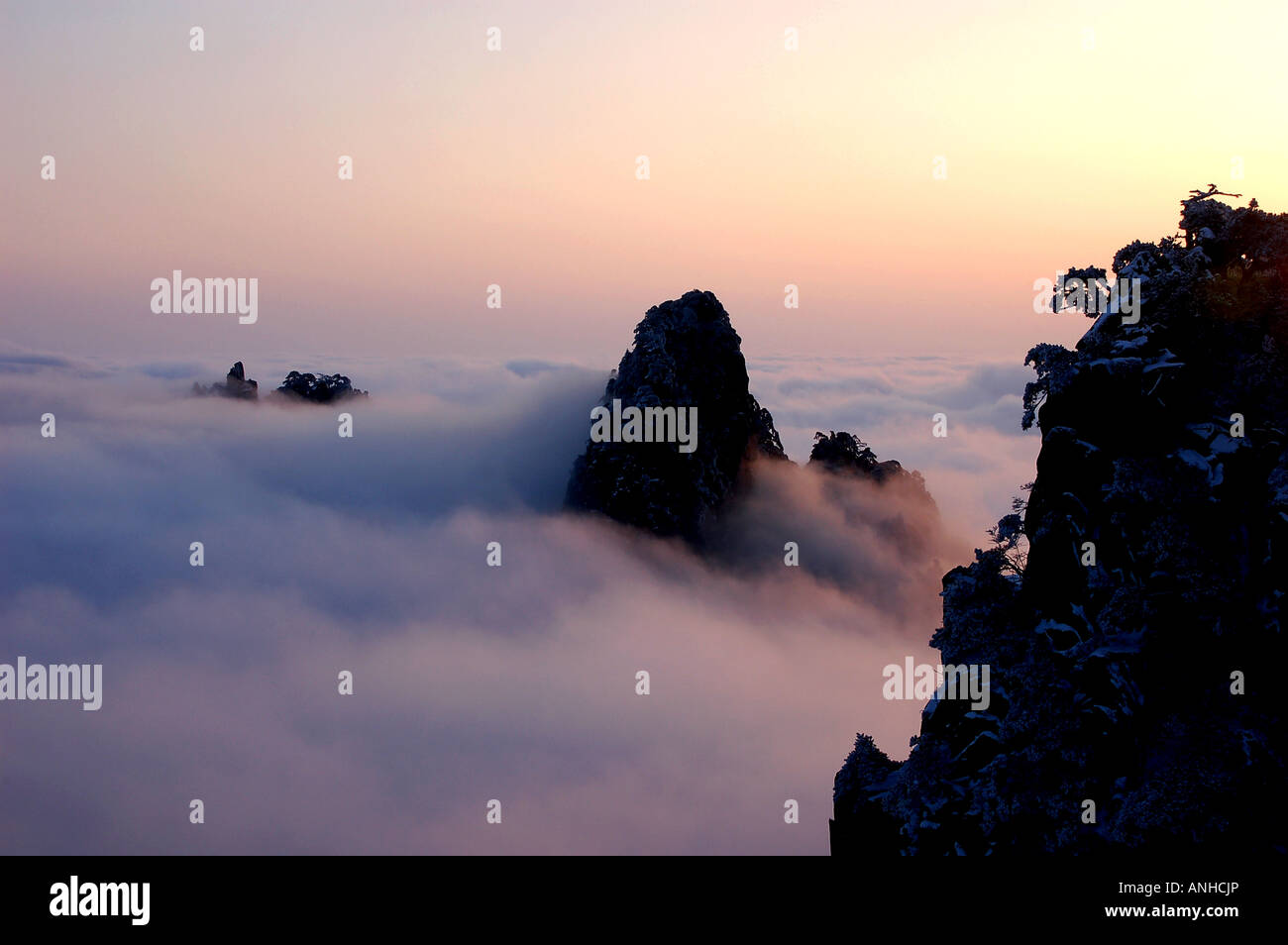 morning sun rise sea of clouds in Huang Shan Anhui ,China Stock Photo ...