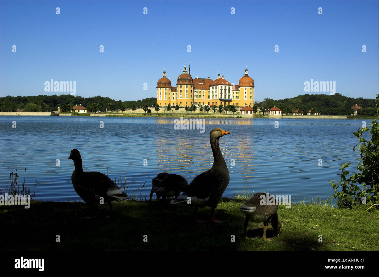 Moritzburg and lake in Saxon,Germany Stock Photo - Alamy
