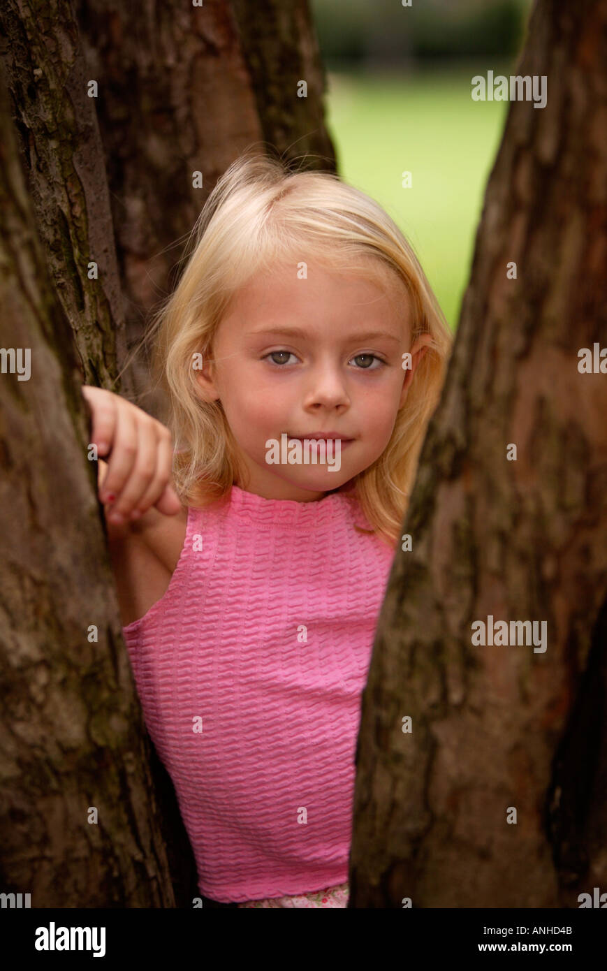 Child between two trees Stock Photo - Alamy