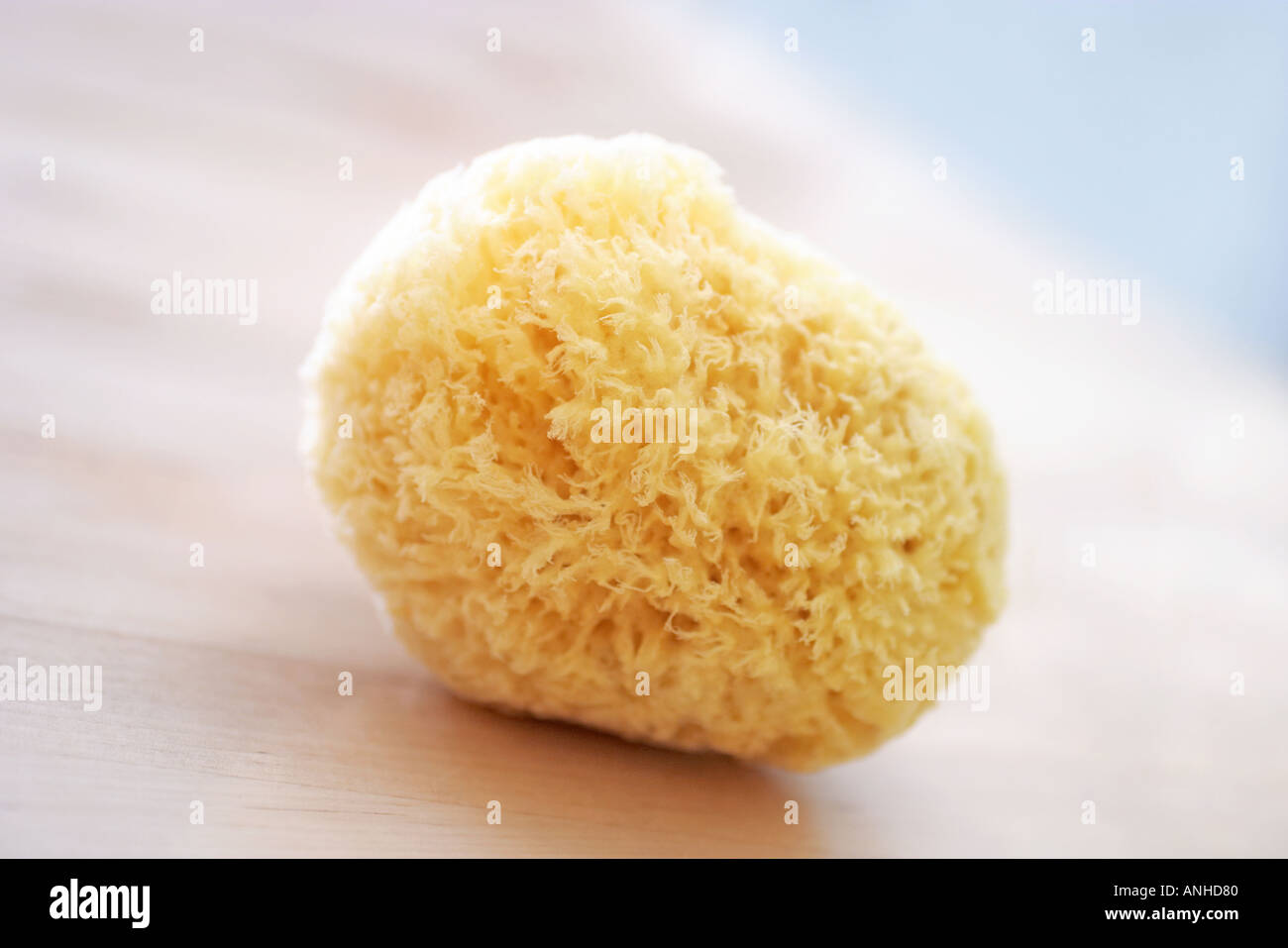 Bathing sponges hi-res stock photography and images - Alamy