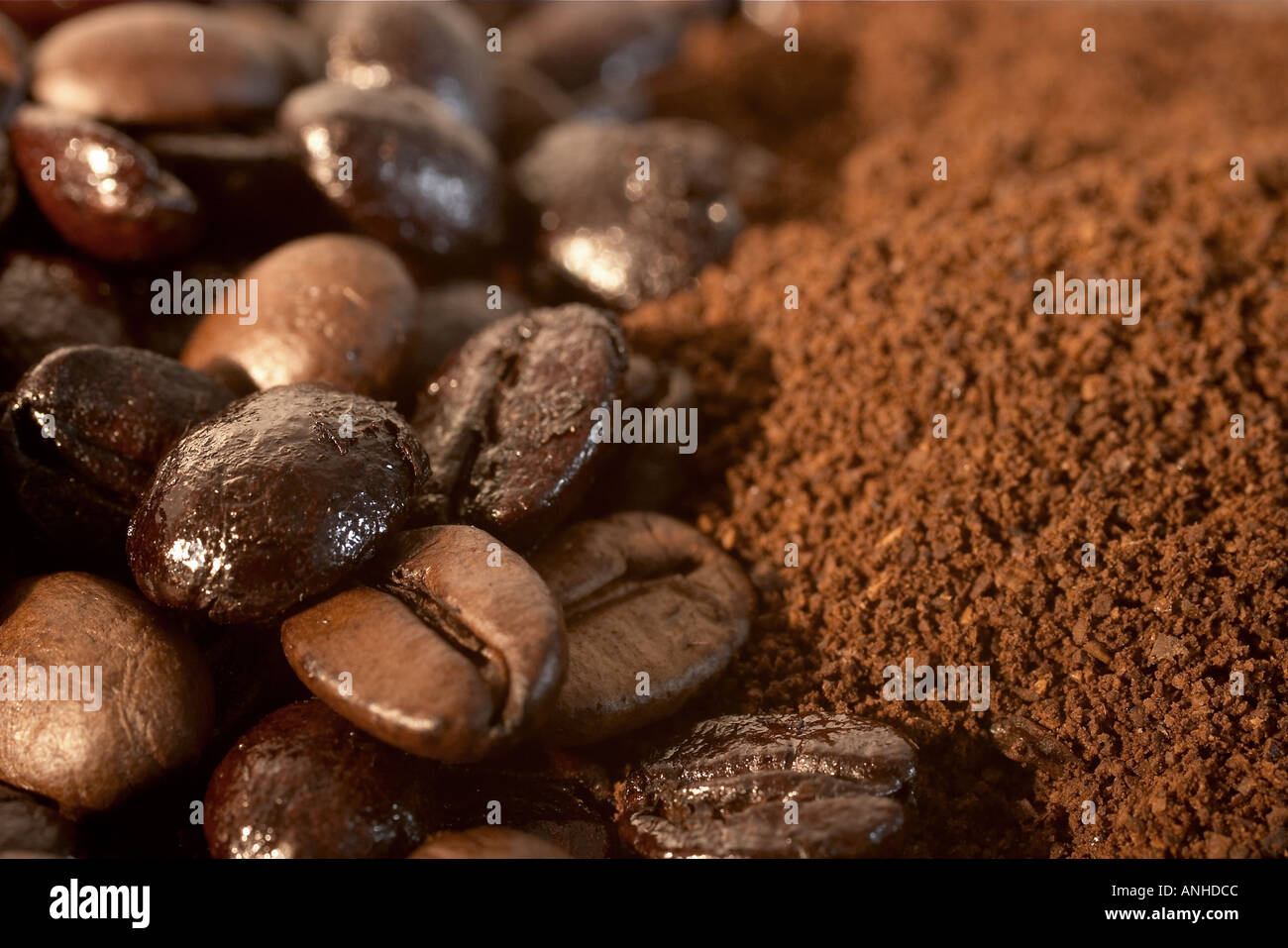 Coffee beans and coffee powder Stock Photo - Alamy