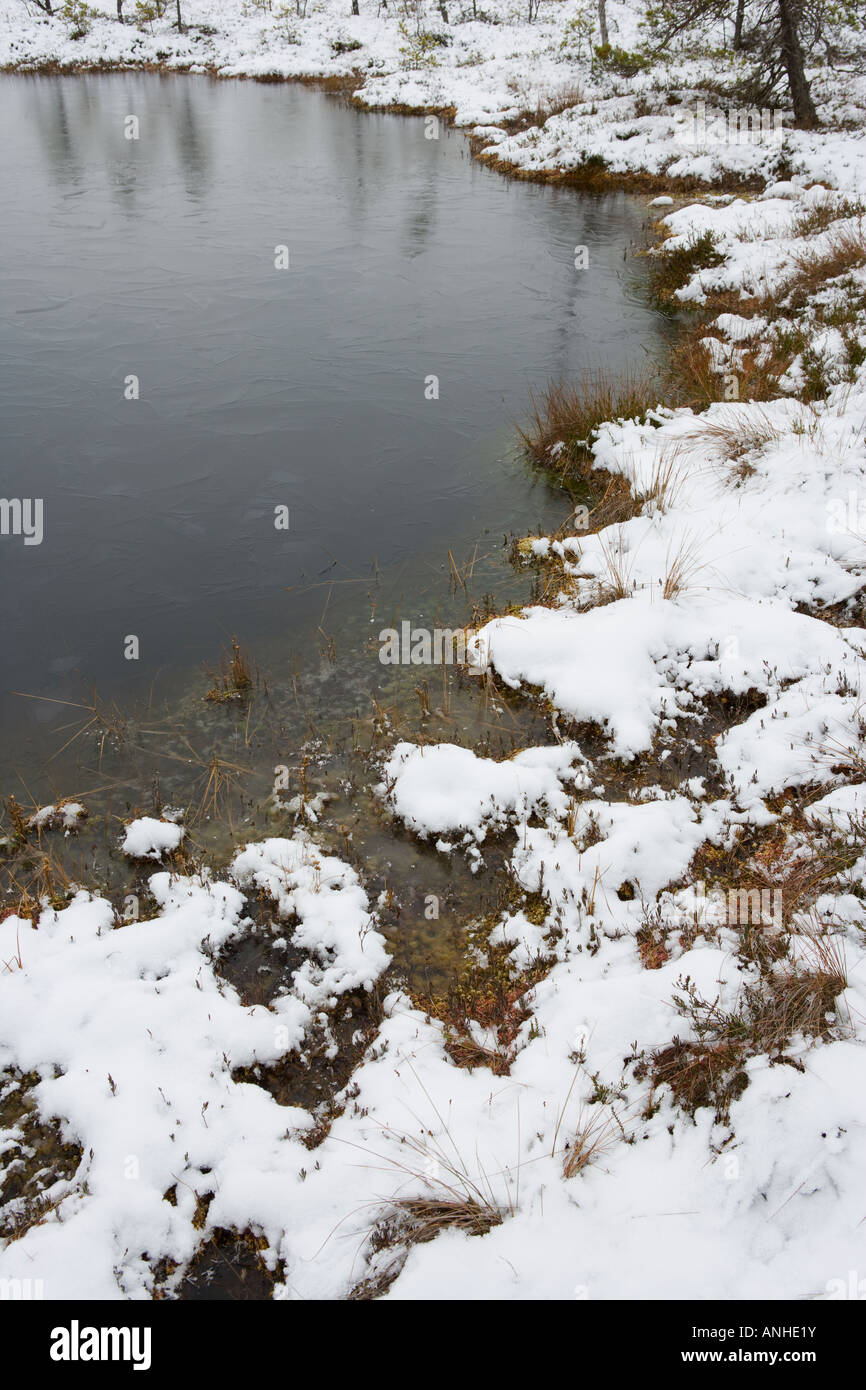 Bog frost snow edge hi-res stock photography and images - Alamy