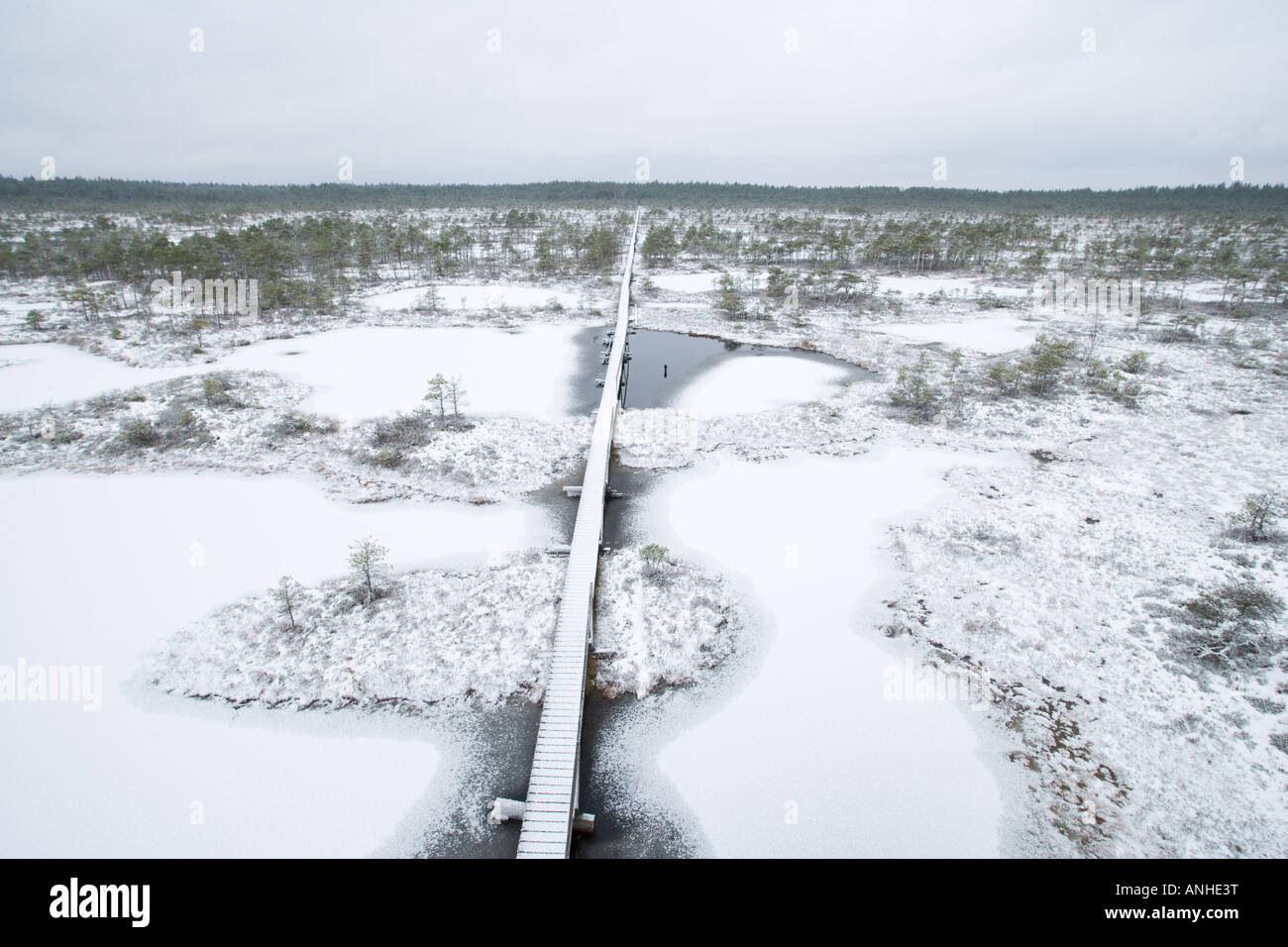 Boardwalk in snowy bog Stock Photo - Alamy