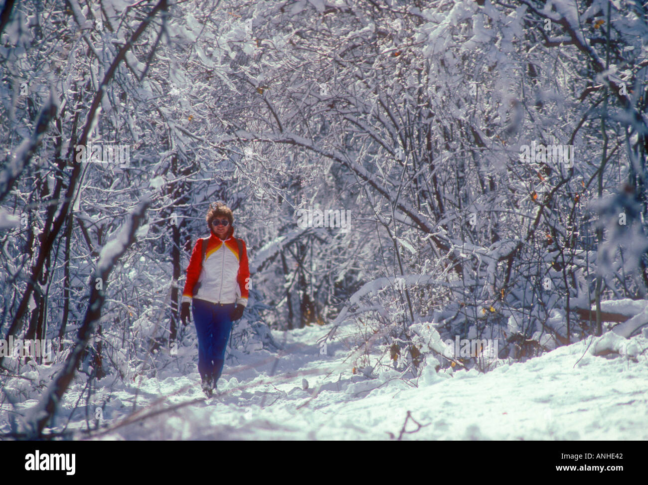 Appalachian trail winter hi-res stock photography and images - Alamy