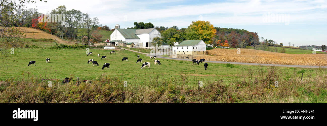 Panorama of Amish farm scene in the Millersburg and Sugarcreek area of ...