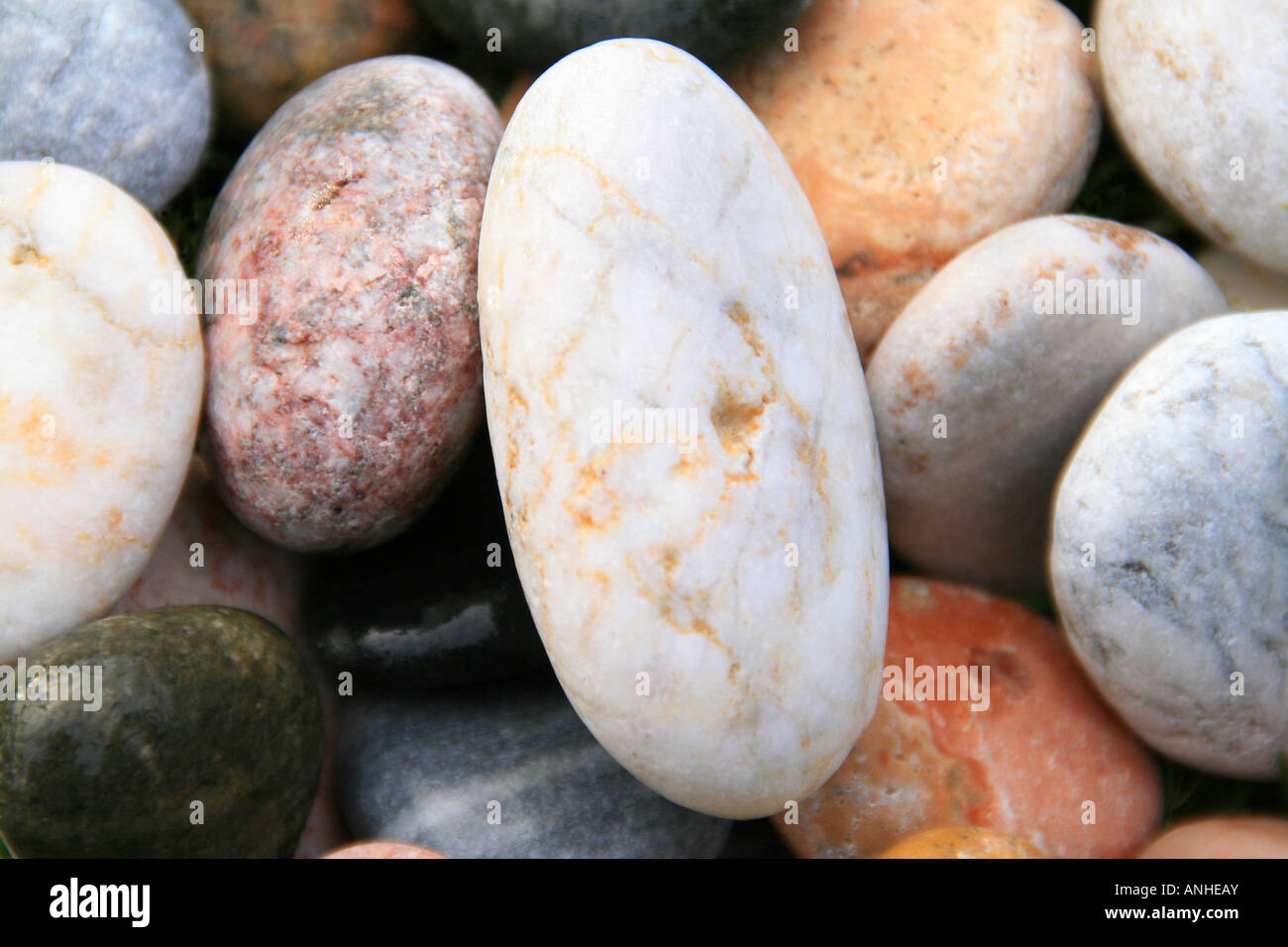 Beach Pebble Collection Stock Photo - Alamy