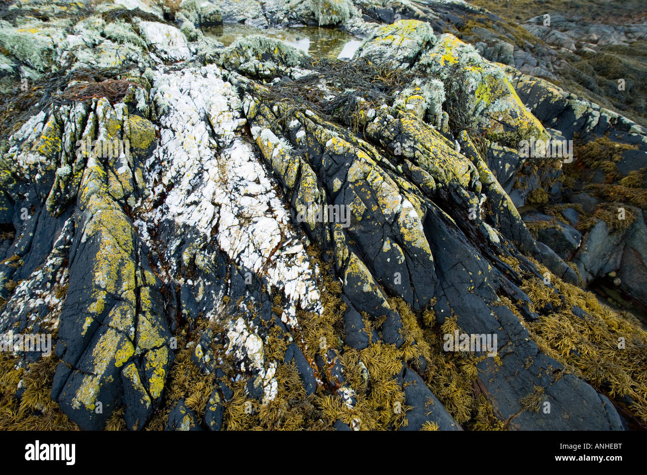 Quartz outcrop in volcanic rock Stock Photo - Alamy