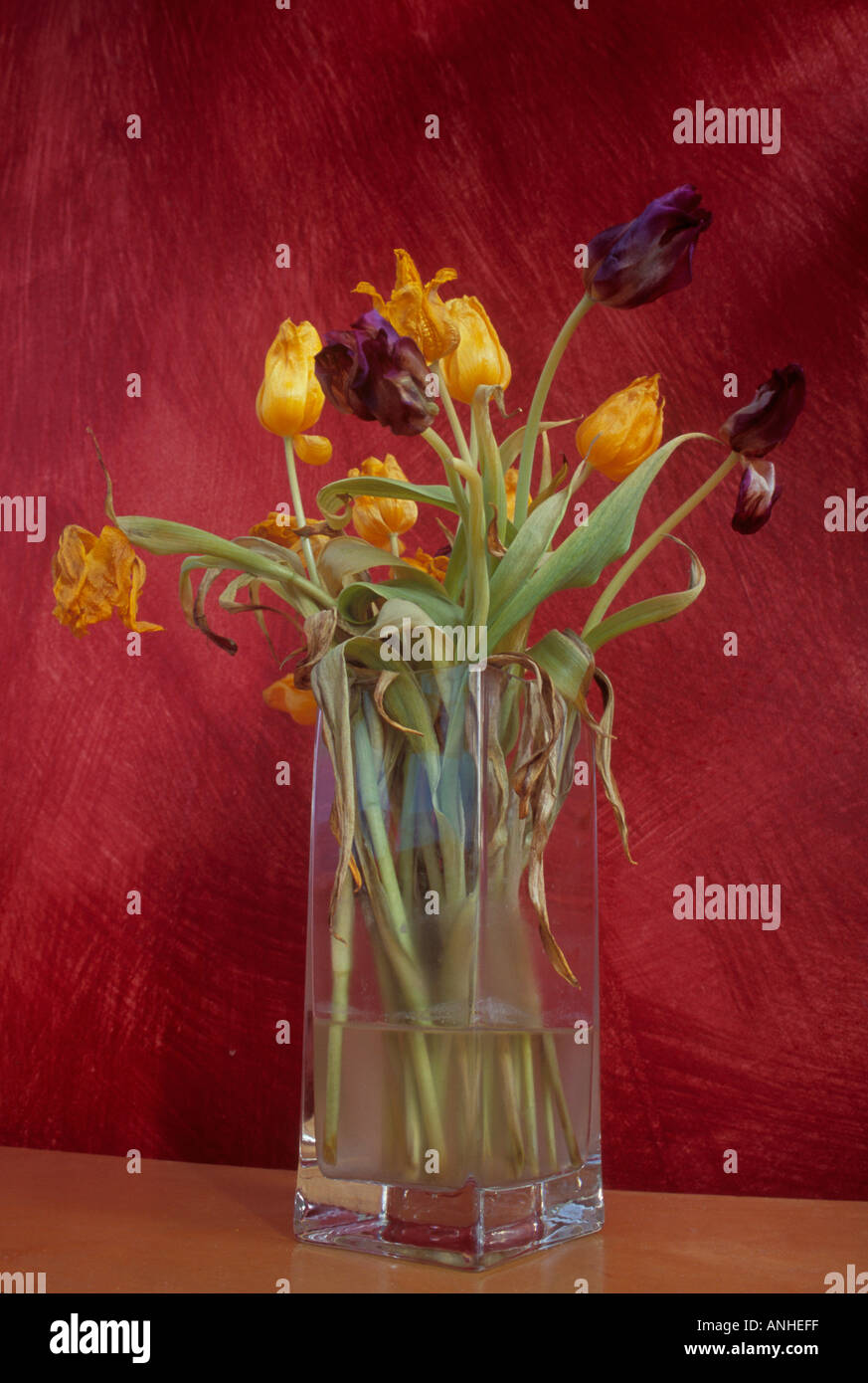 Decaying bouquet of flowers hi-res stock photography and images - Alamy