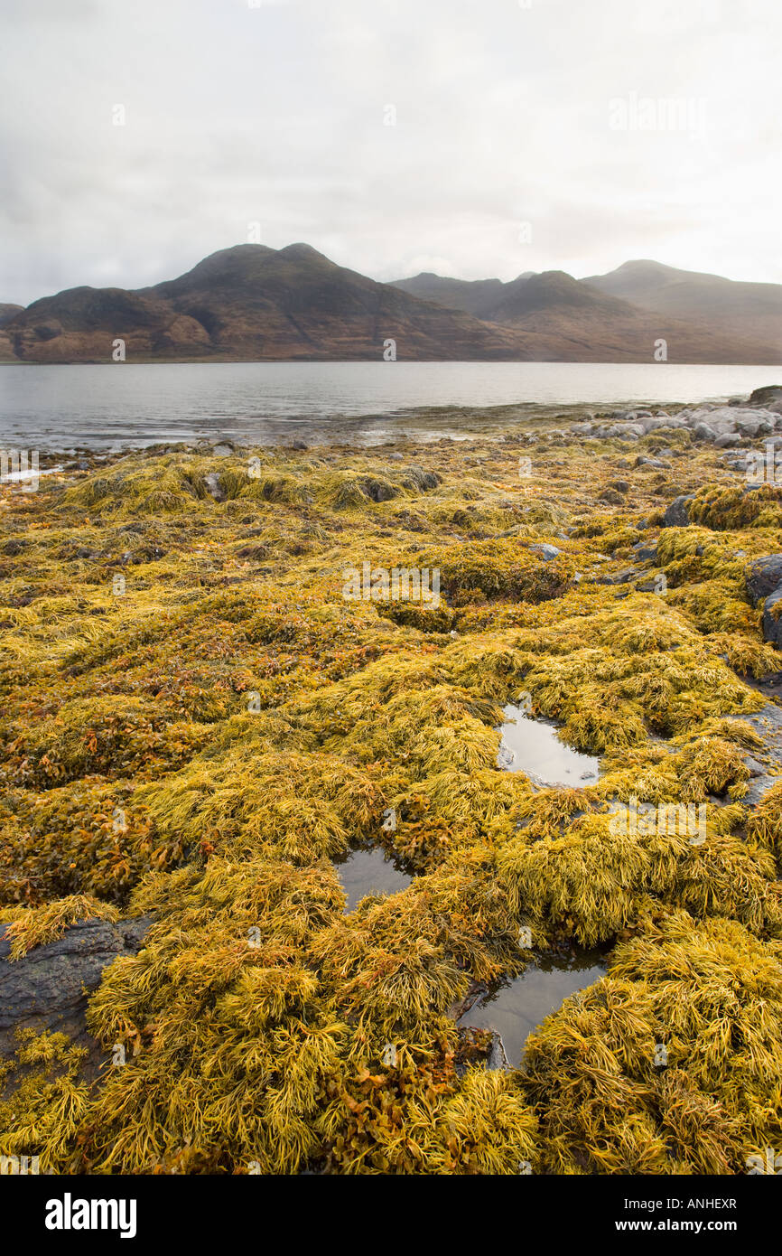 Tidal sealoch hi-res stock photography and images - Alamy