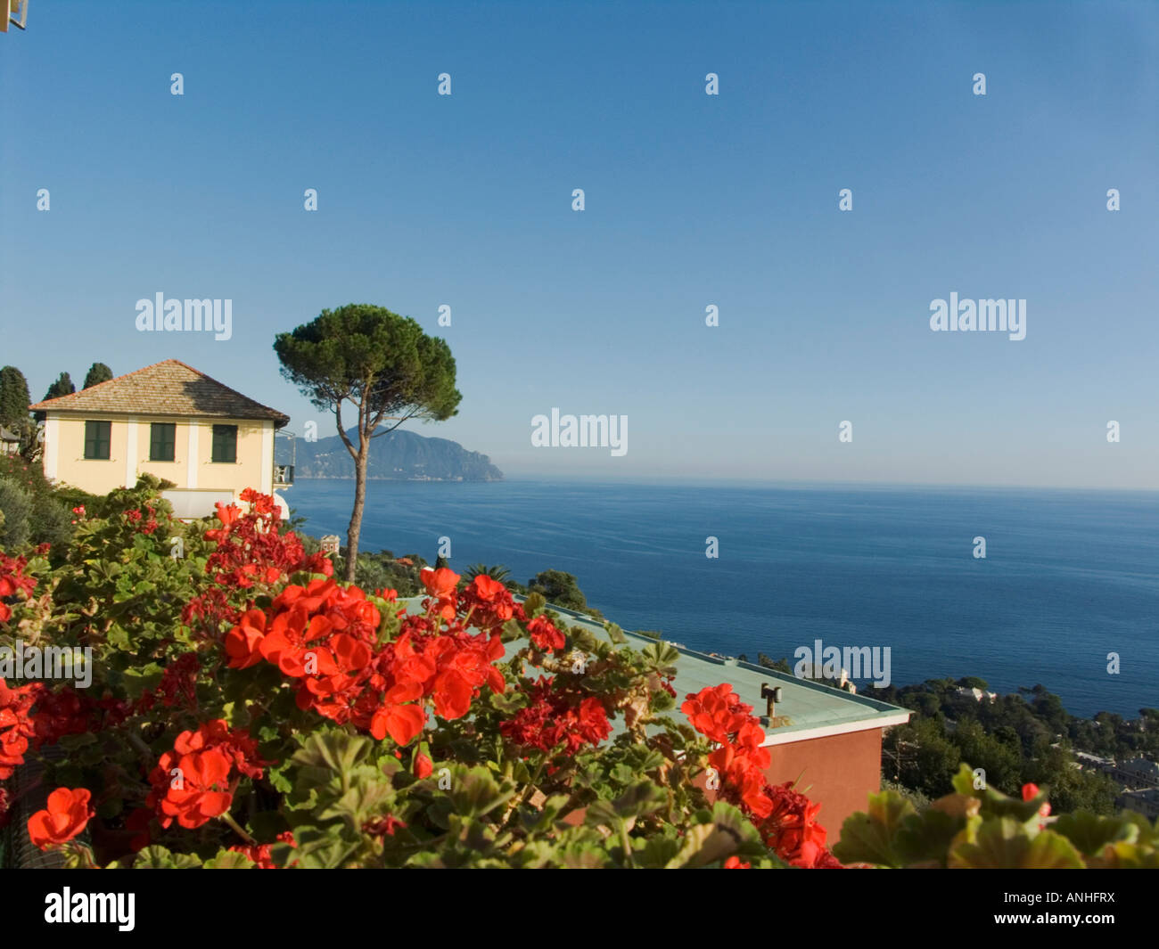 suggestive sea view with flower of genoa nervi from sant ilario town ...